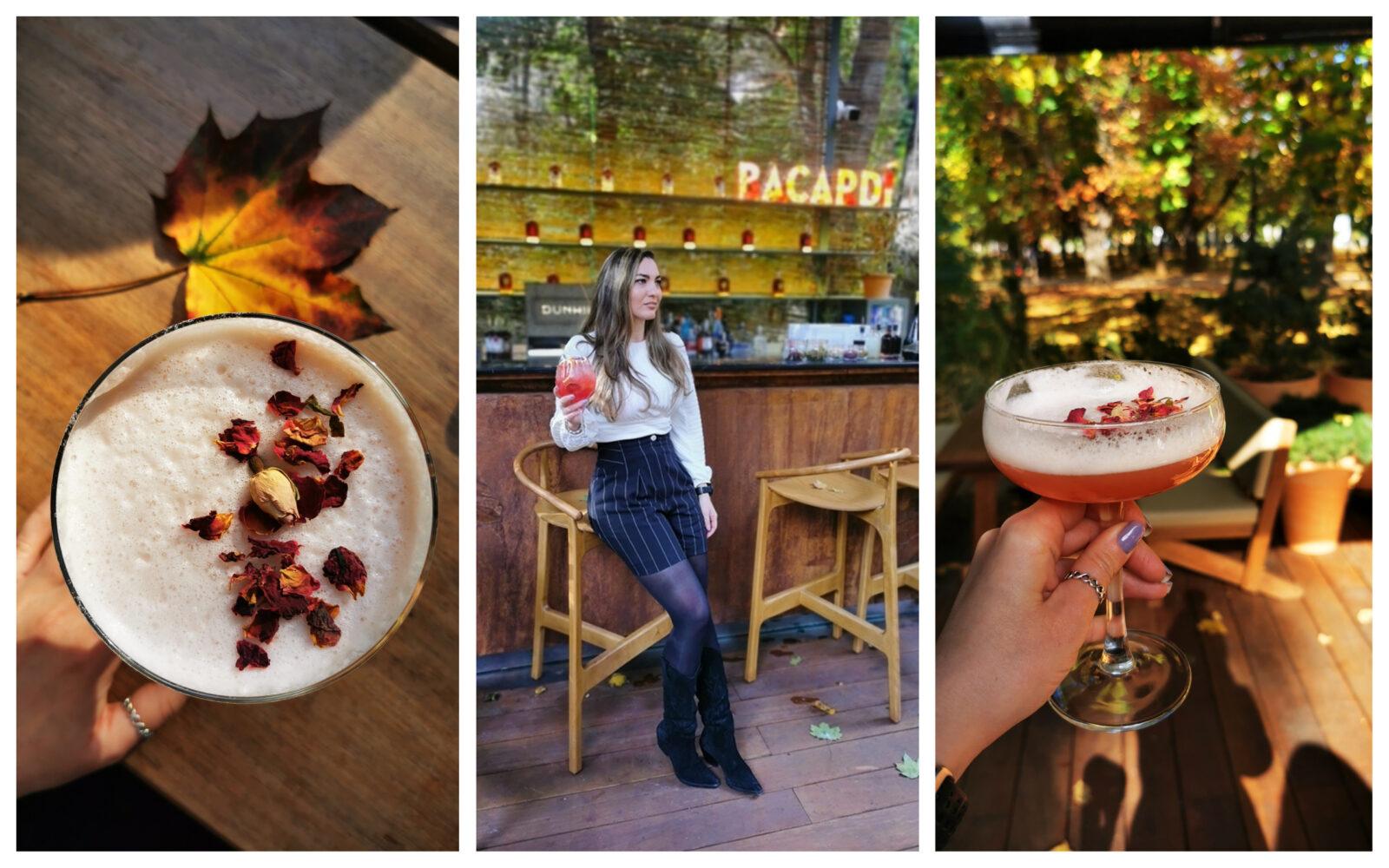 Hare Garden - noua grădină din Herăstrău - Out and about