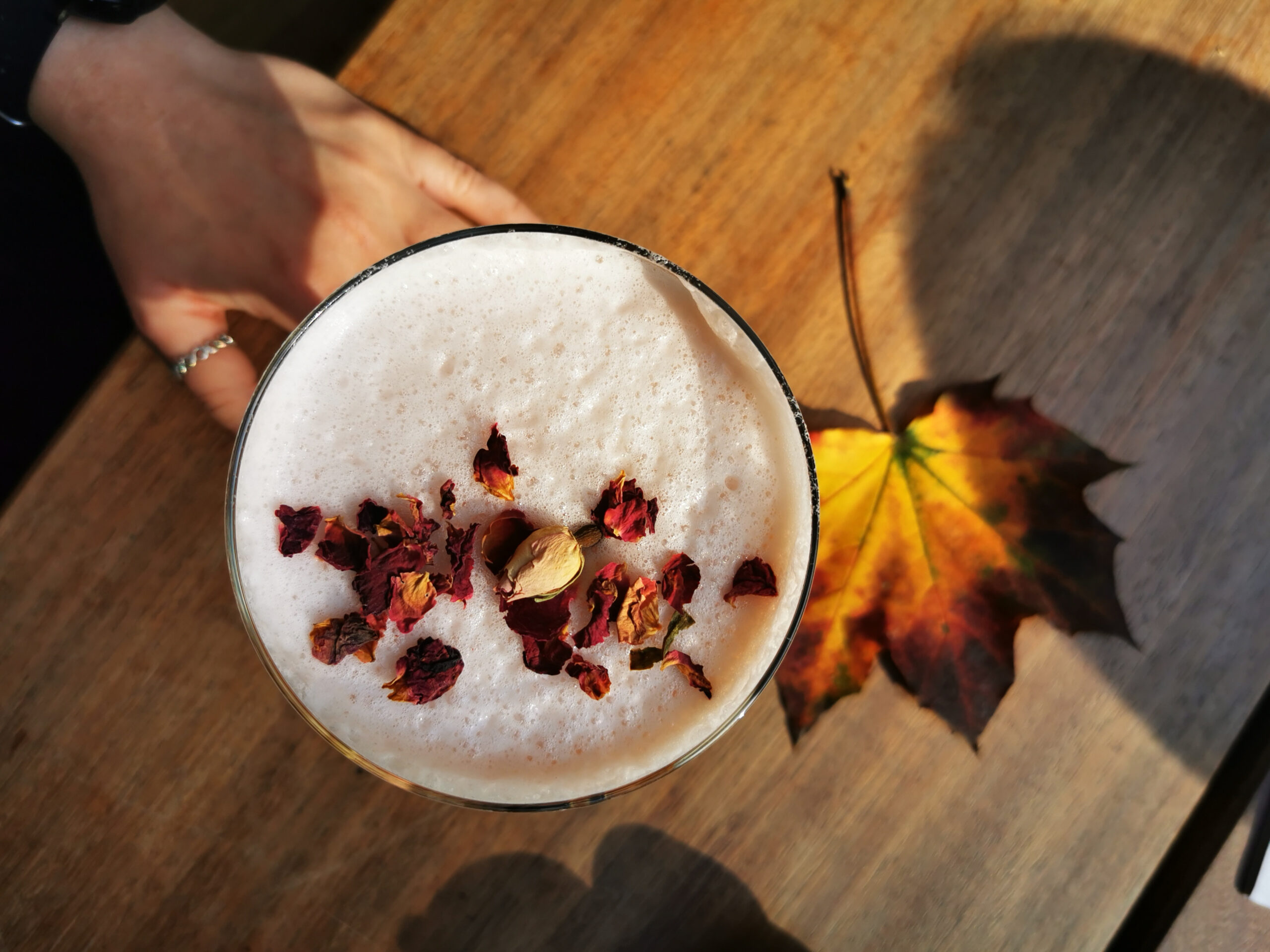 Hare Garden - noua grădină din Herăstrău - Out and about