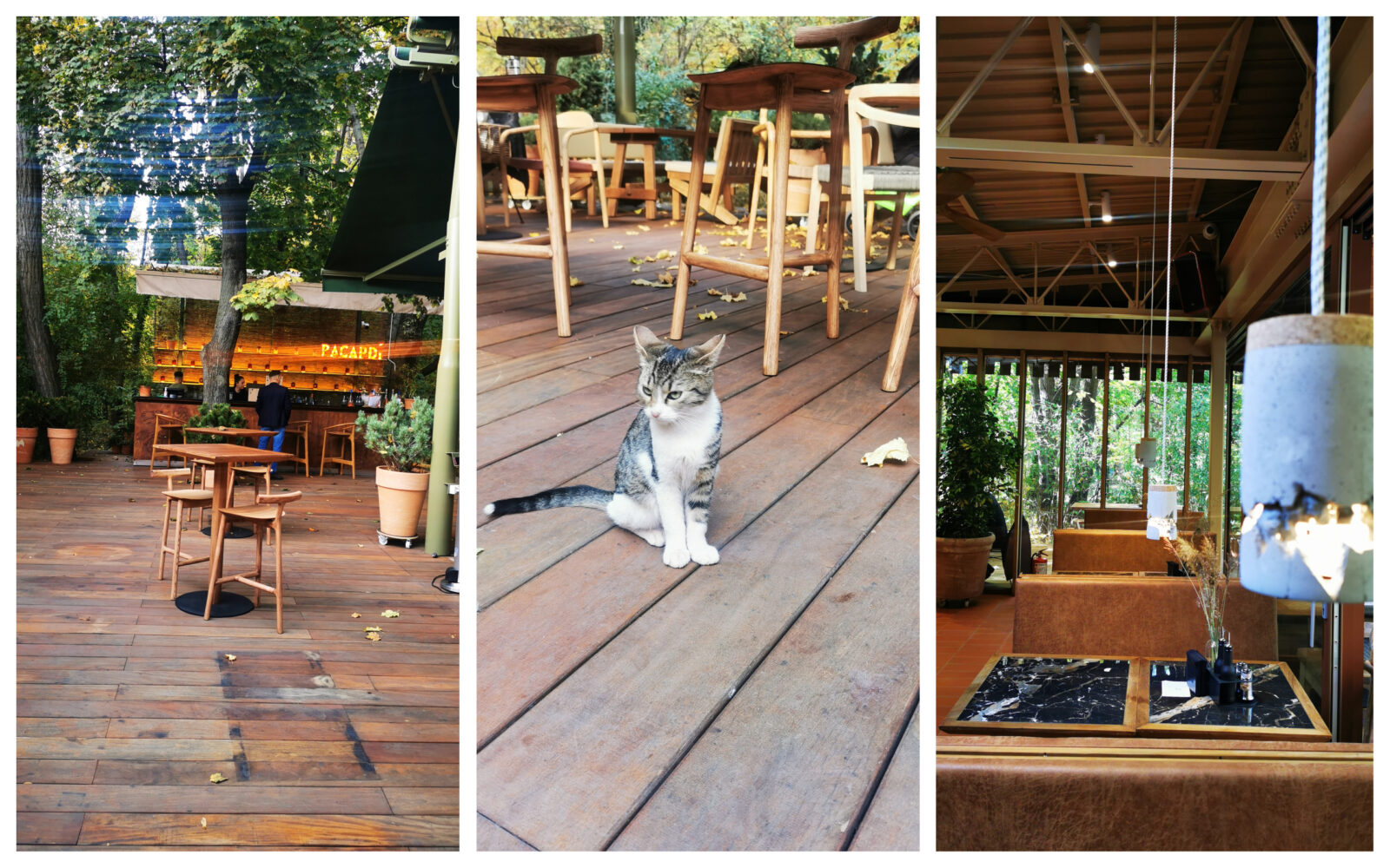 Hare Garden - noua grădină din Herăstrău - Out and about